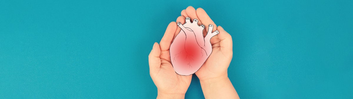 Myokarditis: Definition und Ursachen Myokarditis: Definition und Ursachen