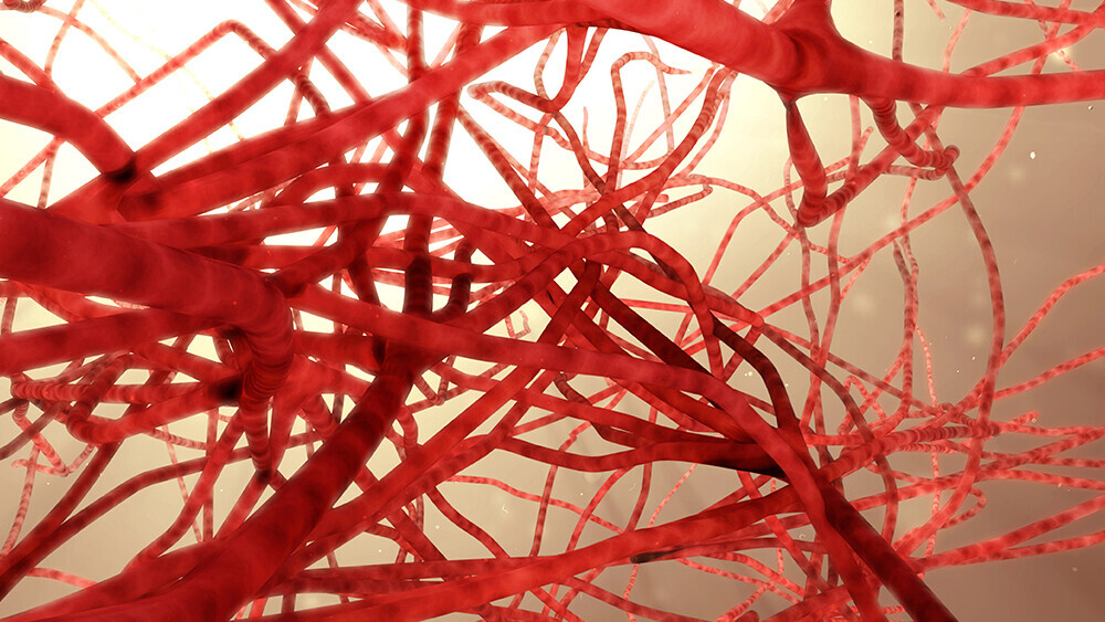 Angiologie: Untersuchungen und Behandlungen